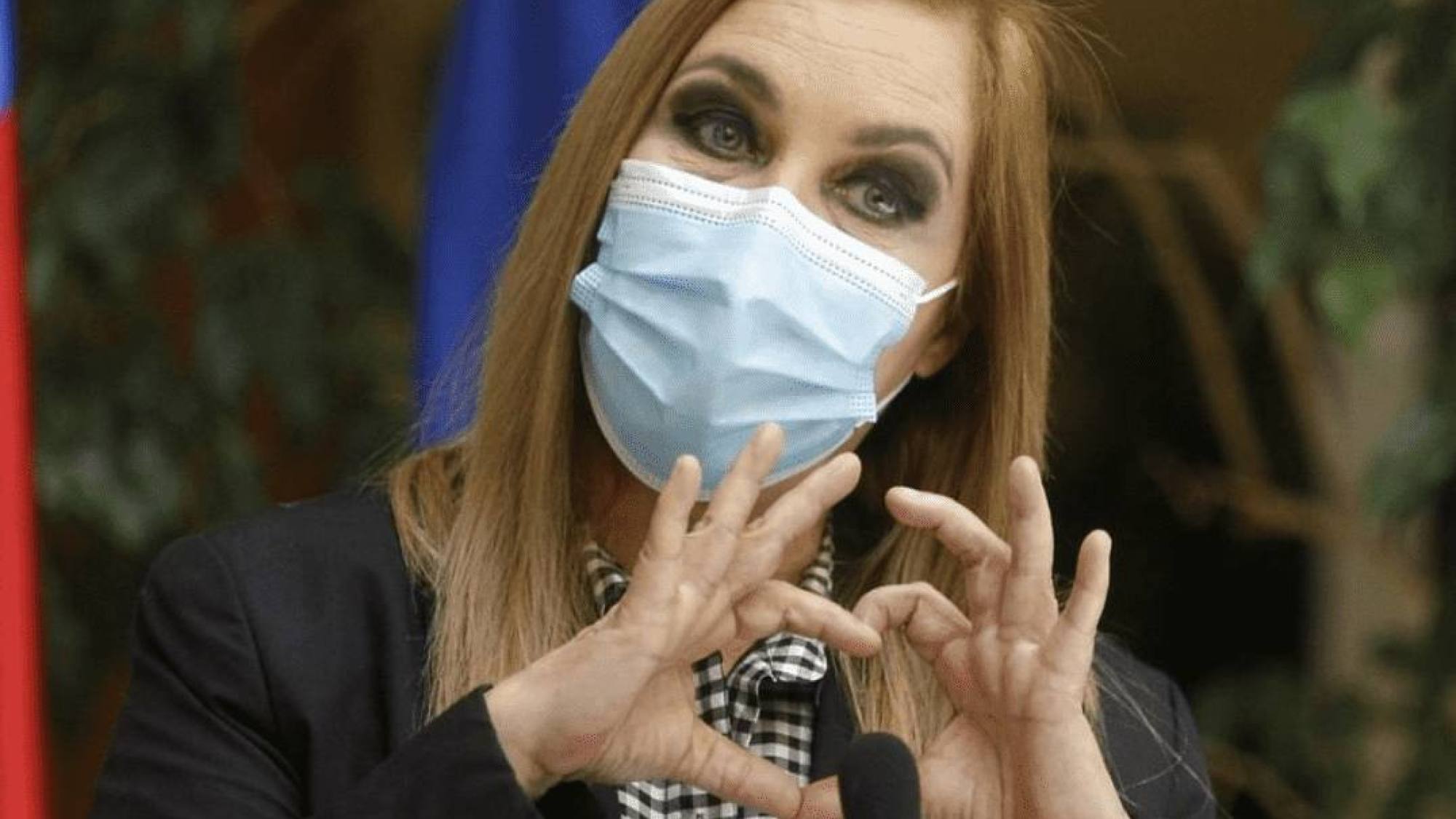 "¿Tú vivirías con 400 lucas, Gabriel Boric?" Pamela Jiles volvió a la ...