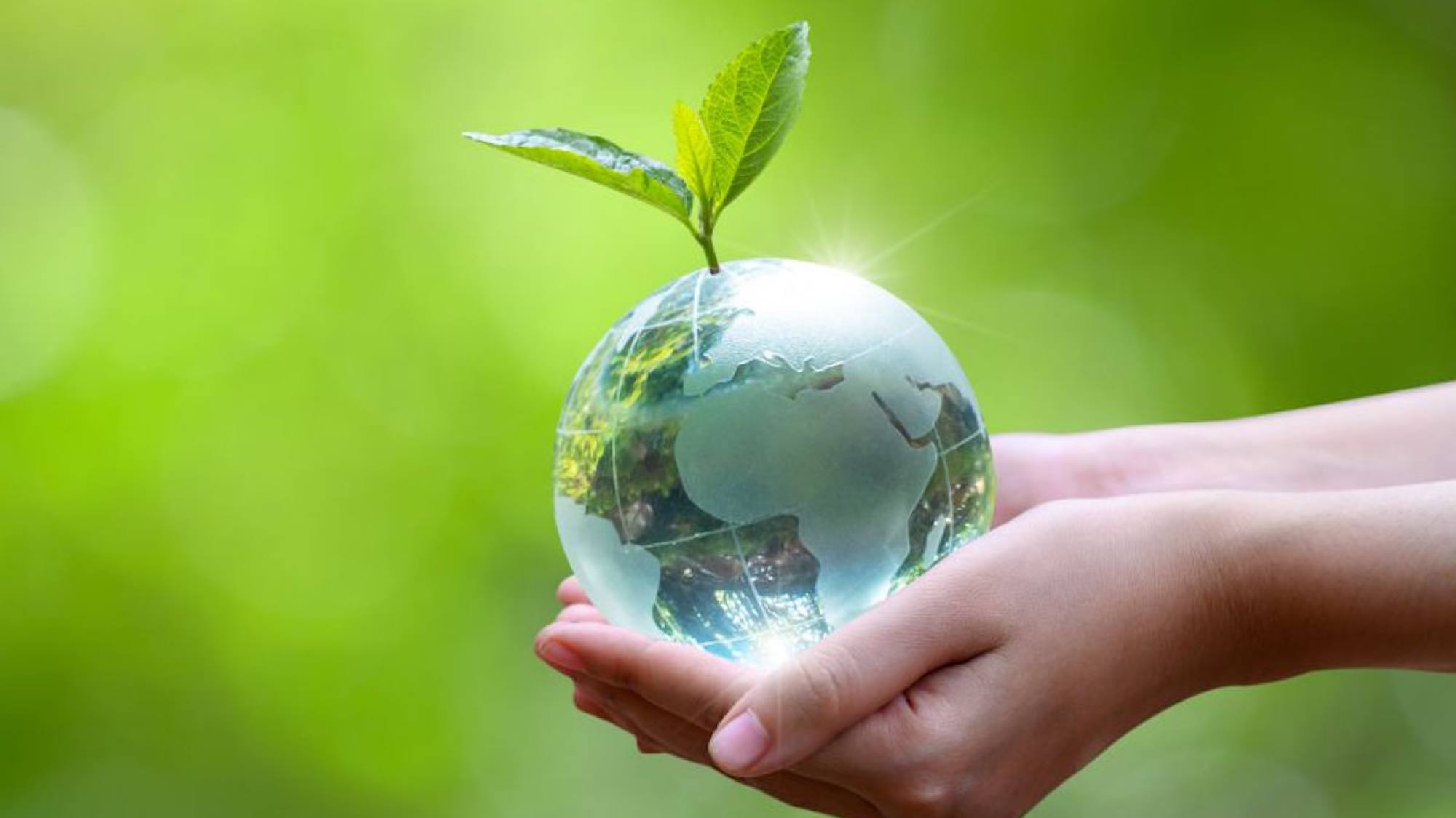 Día mundial de la tierra: conoce 10 acciones cotidianas para ayudar al ...