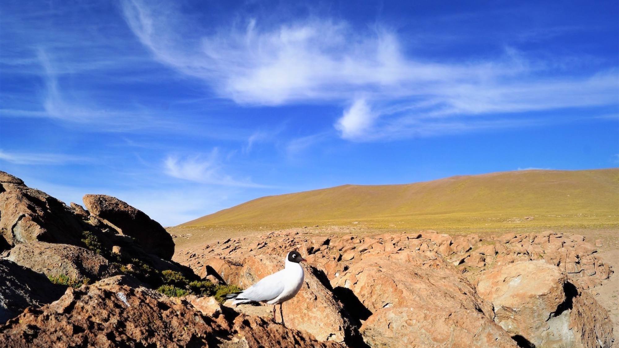 Conoce los 10 destinos más baratos para viajar en Chile