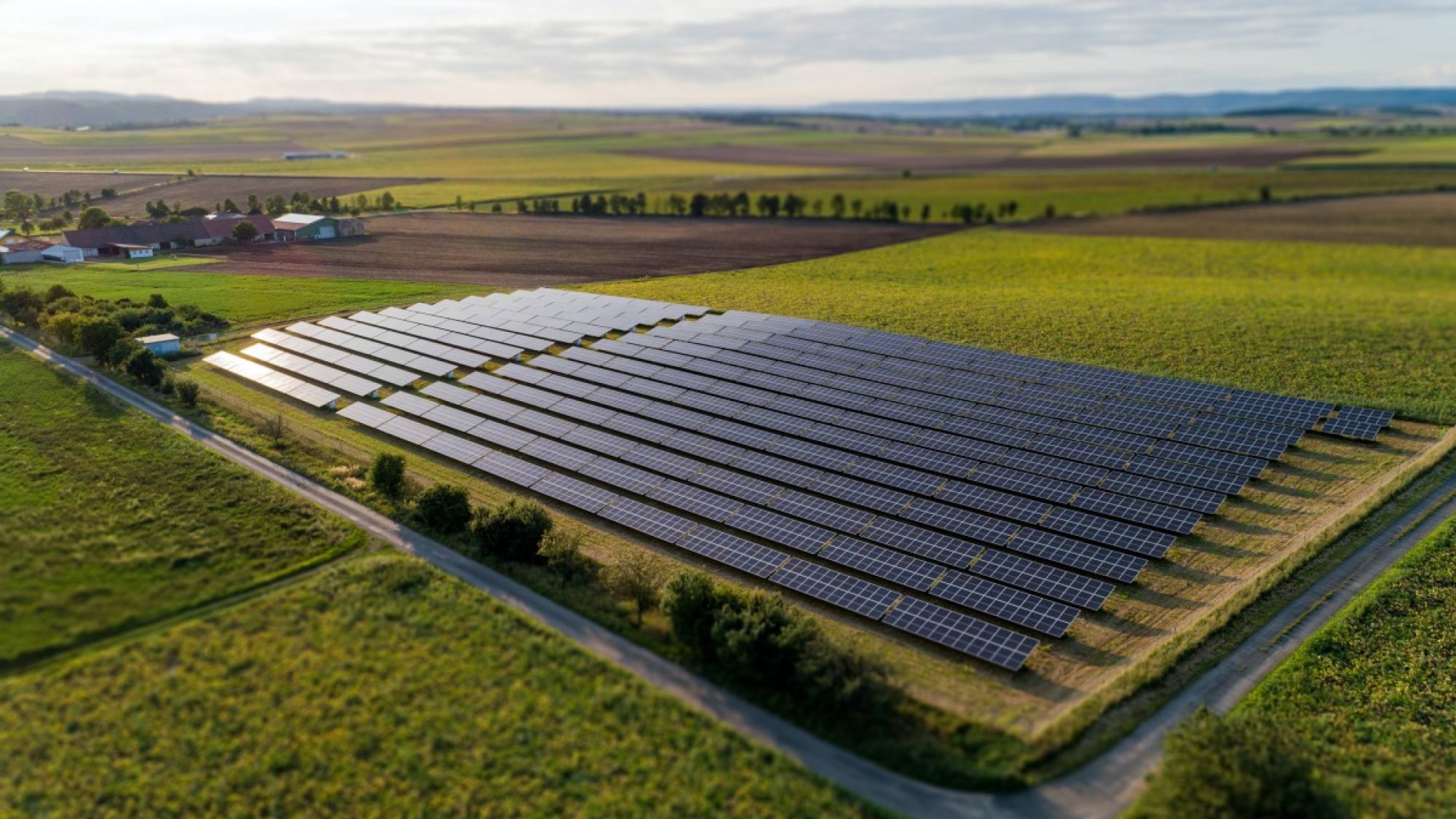 "Agrivoltaica" la tendencia de parques solares con agricultura