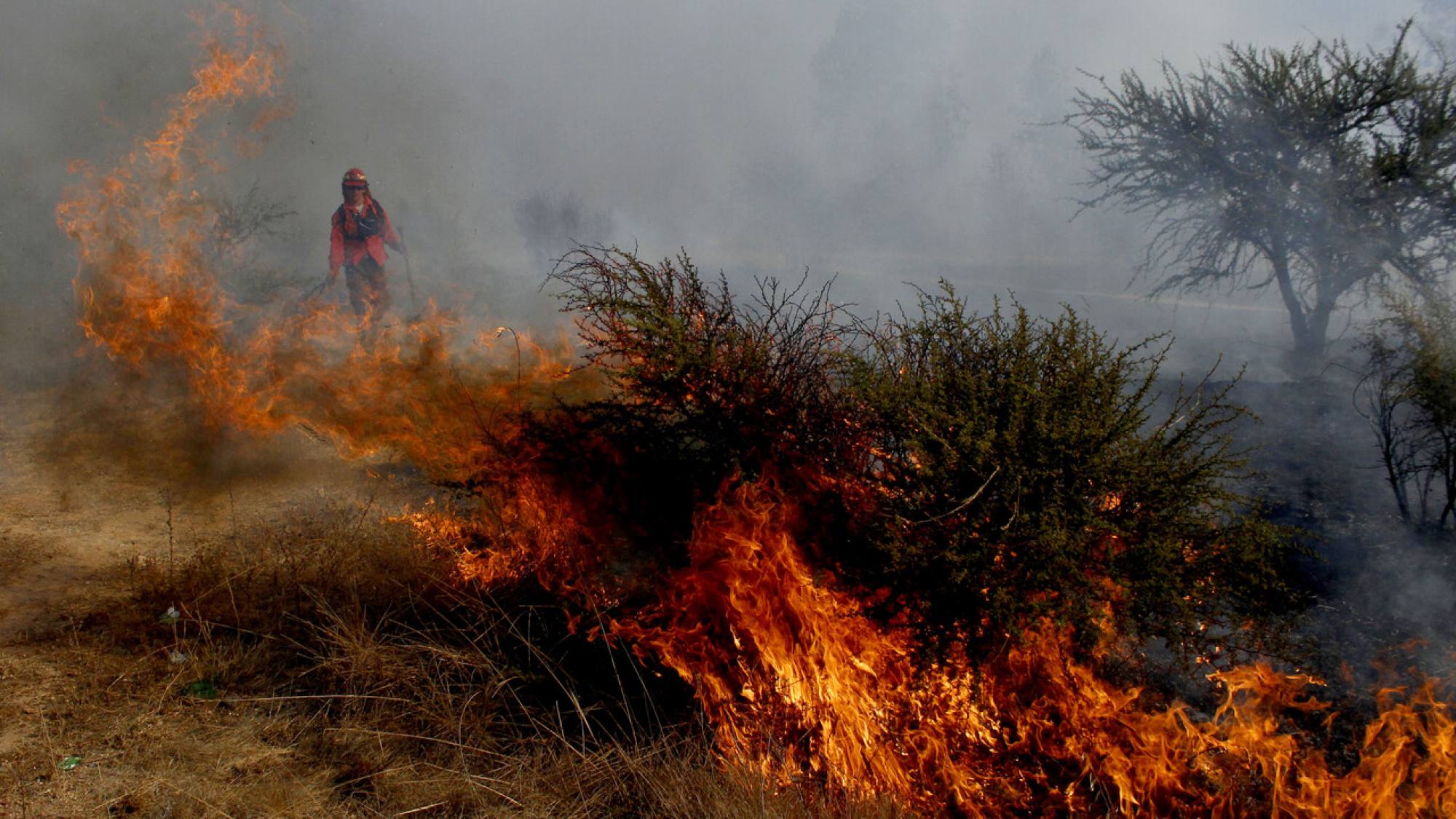 Onemi anuncia alerta roja para Villa Alemana por incendio forestal Onemi anuncia alerta roja para Villa Alemana por incendio forestal