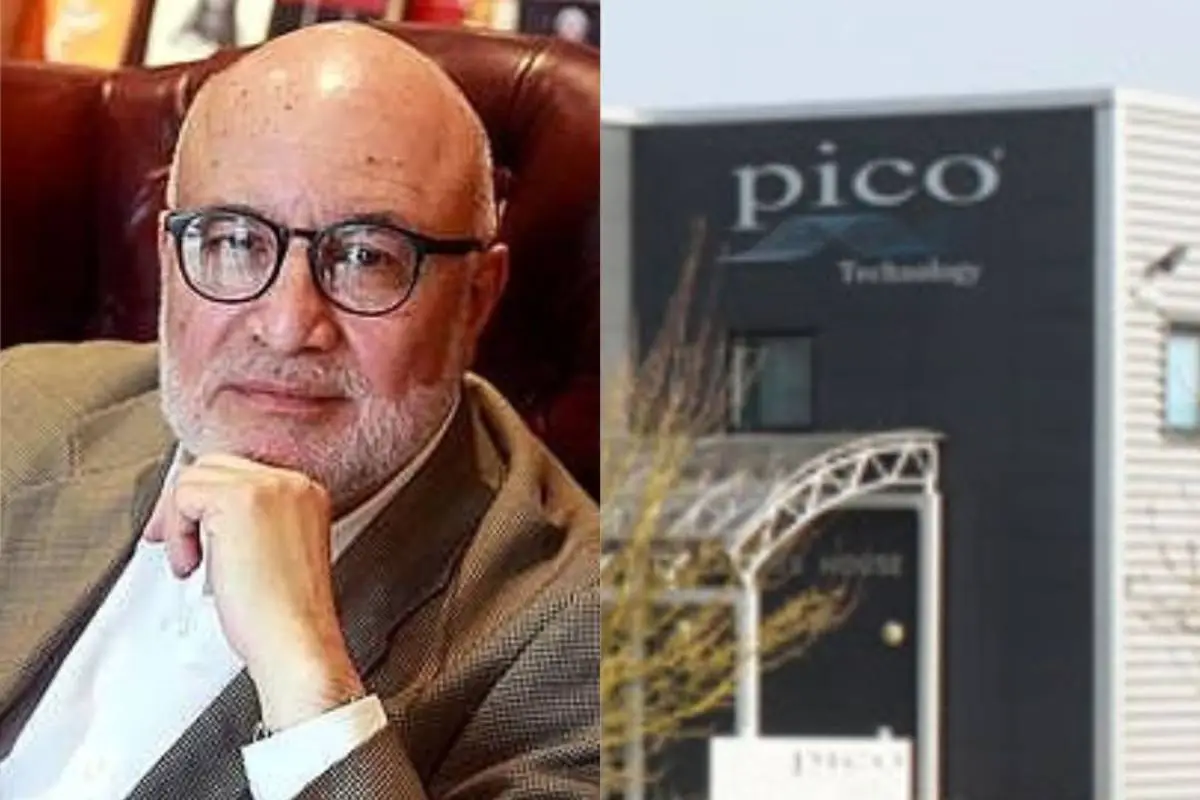 Pico Technology: origen de la polémica palabra en Chile