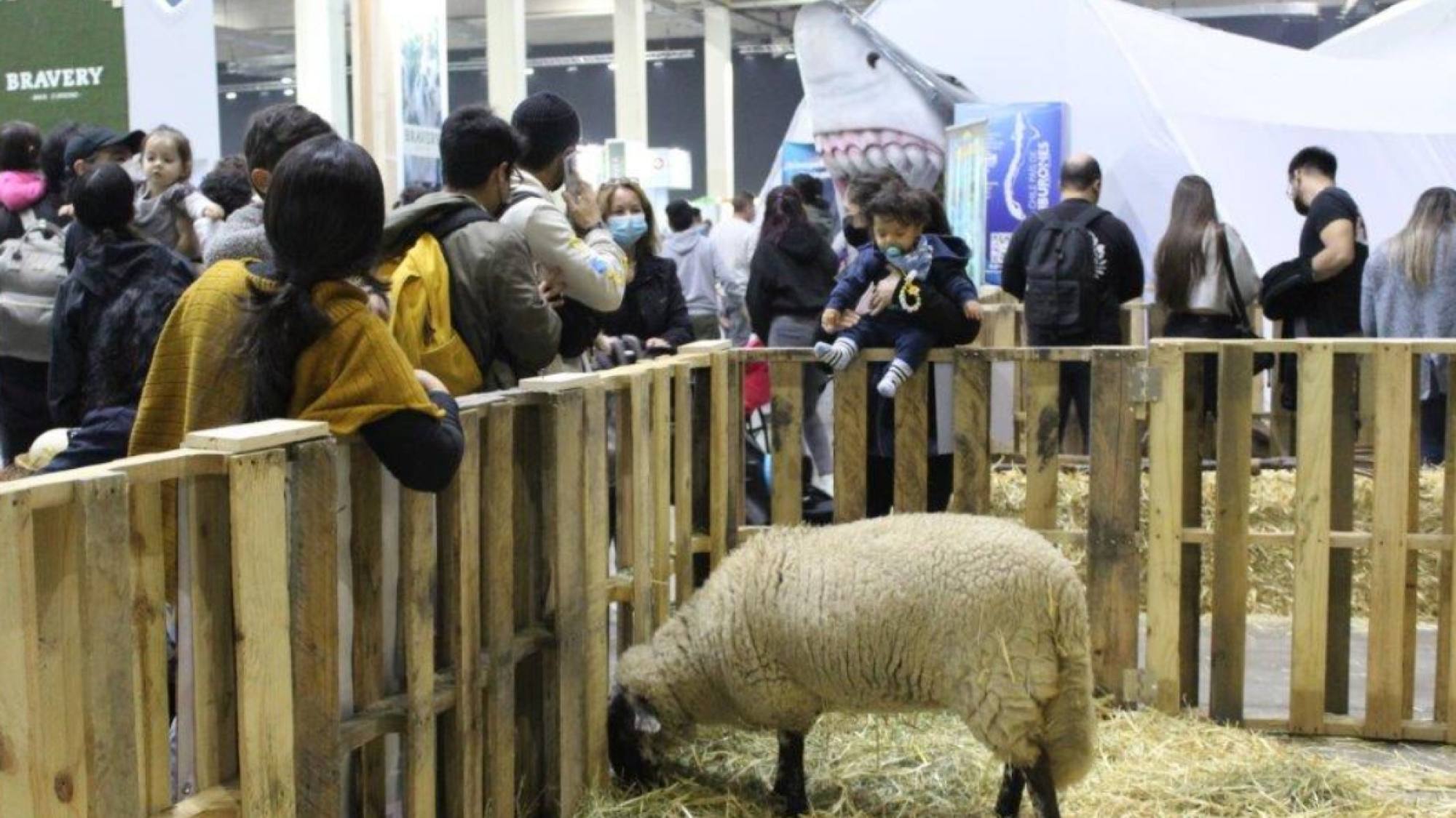 Expo Mascotas %26 Animales 2023: undécima versión en Chile
