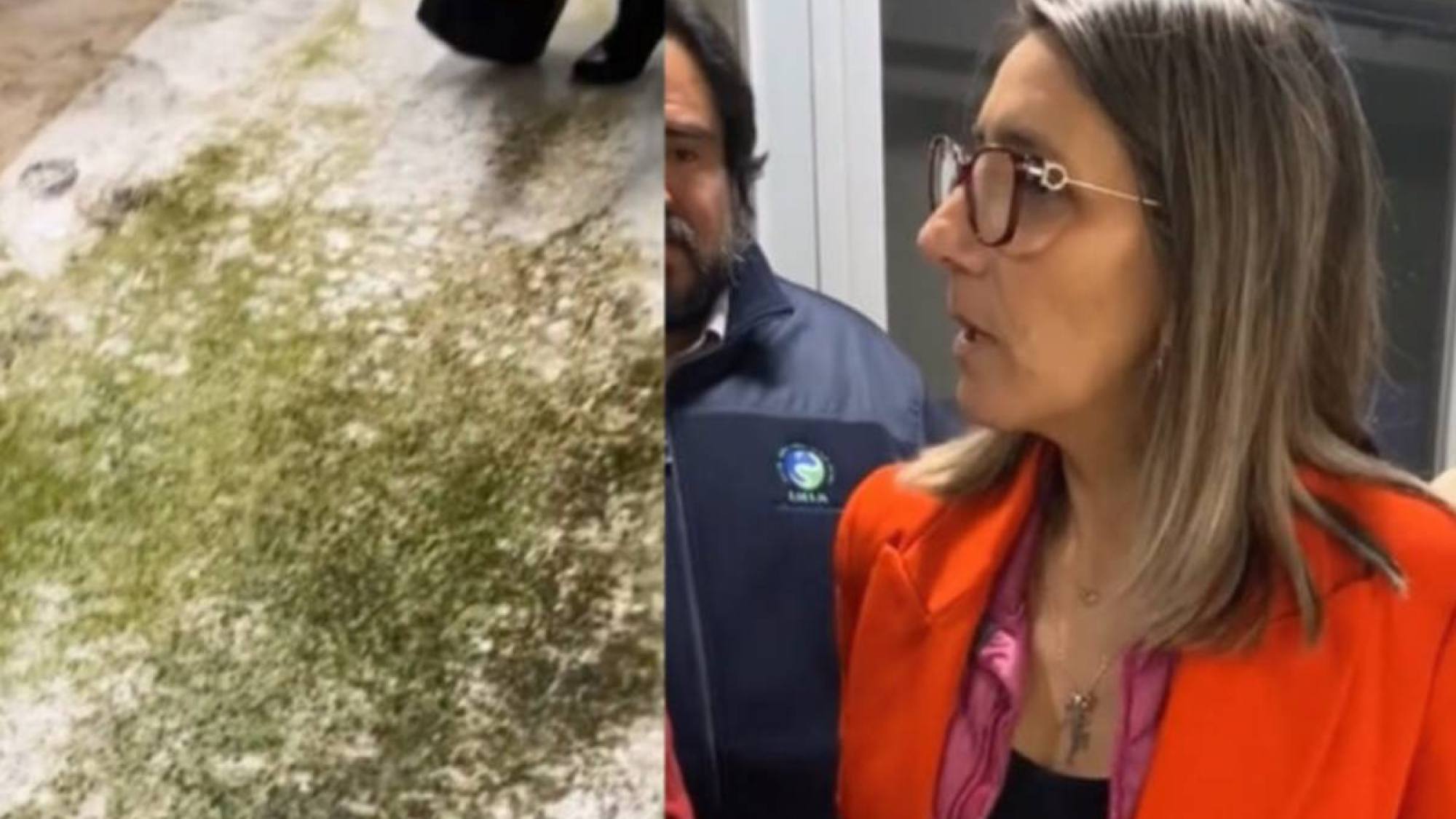 Erika Olivera se indignó por hongos: "Tráeme un paño con cloro..."