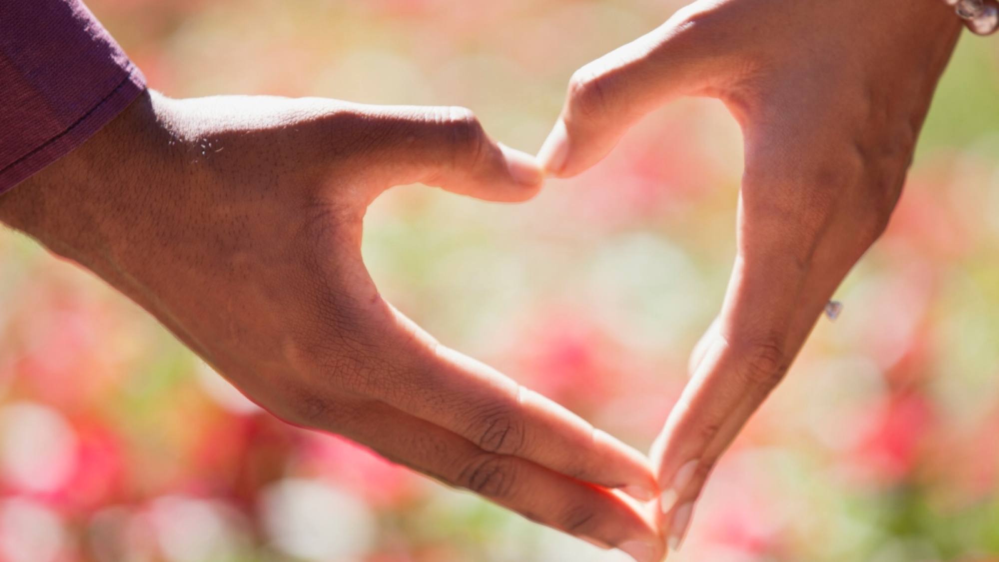 ¿Quieres mejorar tu vida amorosa? Descubre lo que cada signo del ...