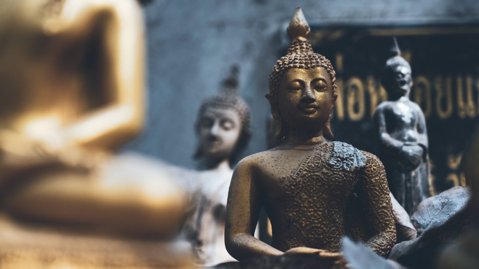 El Noble Sendero Óctuple: 8 hábitos sencillos del budismo que te ...