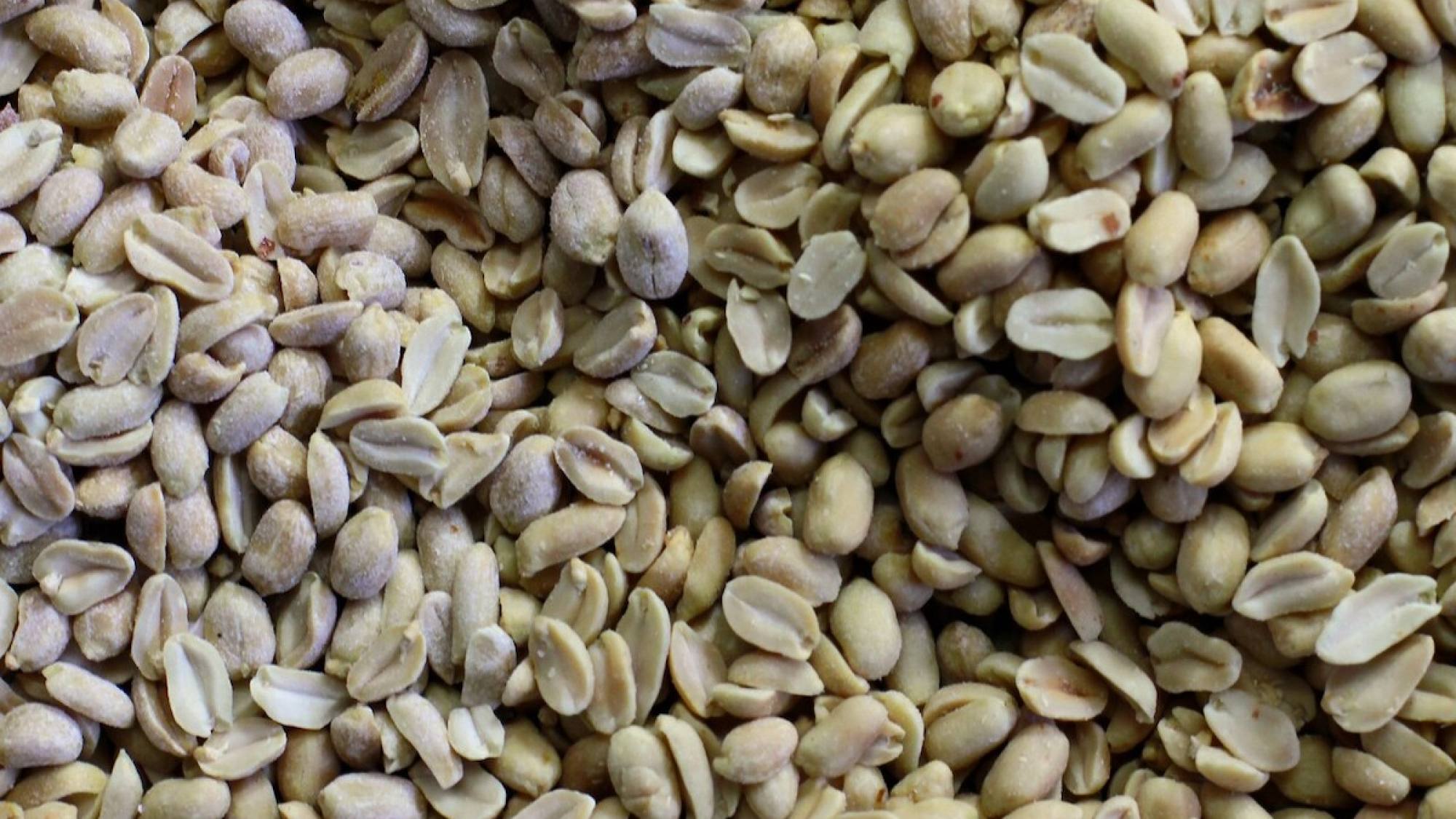 Fruto seco: cuál es el con menos calorías e ideal para dietas