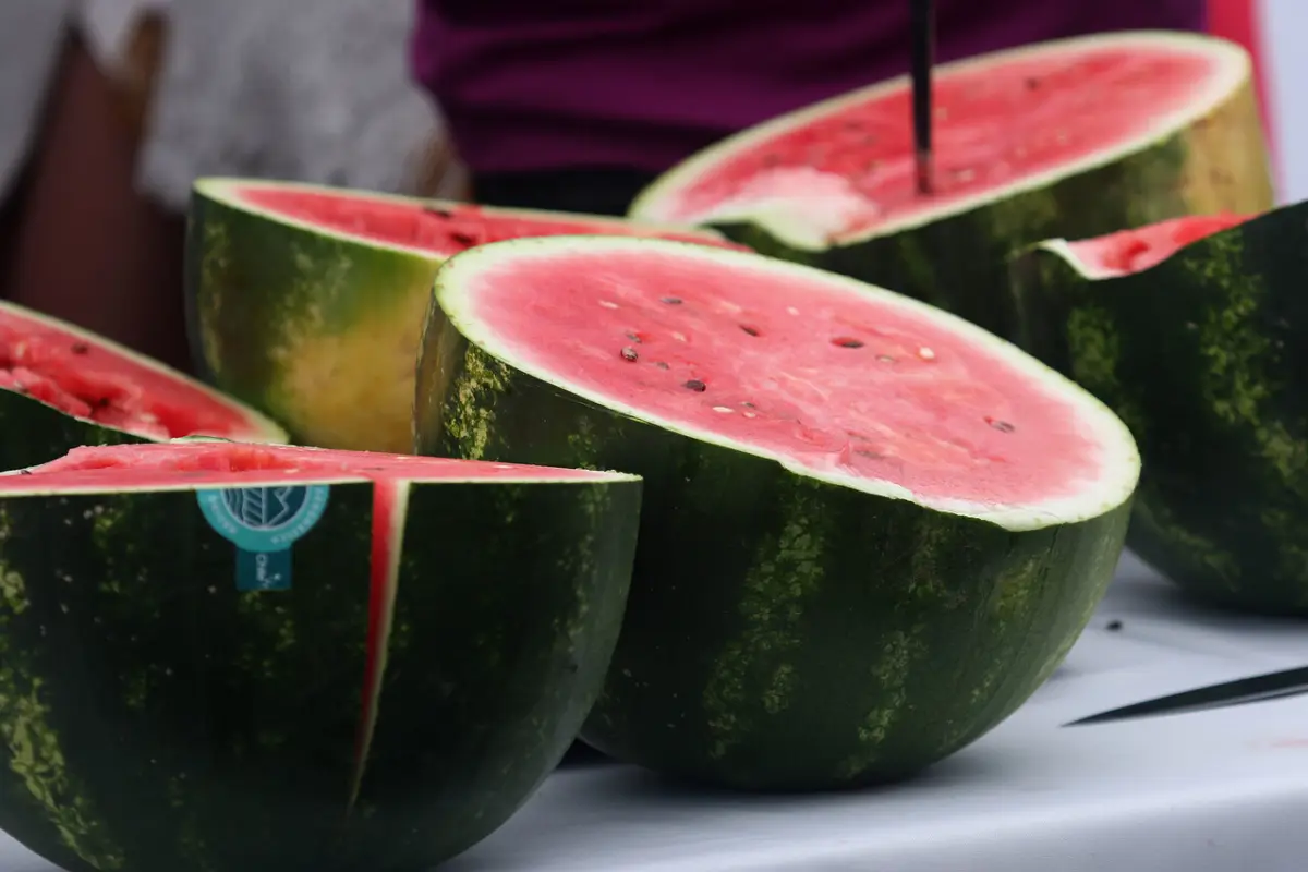 Alerta nacional por el precio de la sandía