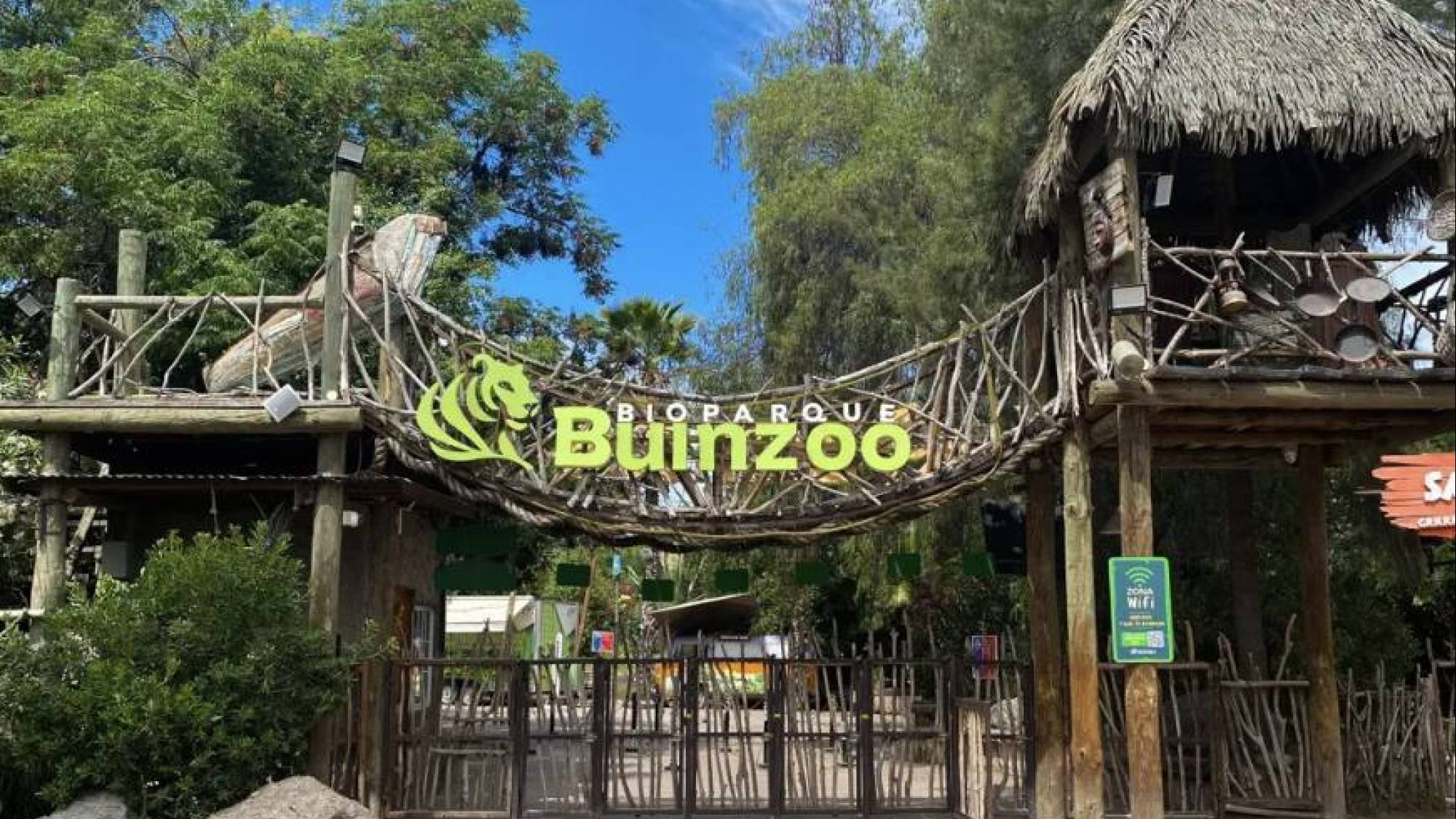 VIRAL: Charla en Buinzoo acaba en ataque de felino a guacamayo